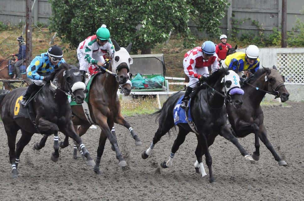 9th Annual Deighton Cup 2017 - BCBusiness