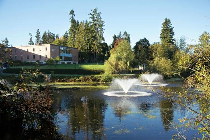 Top 7 Reasons for Choosing Trinity Western University - BCBusiness