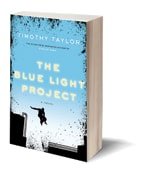 Culture: David Gray, The Blue Light Project, The Spark Festival ...