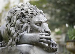 Carolin Rekar Munro, associate professor, School of Business - BCBusiness