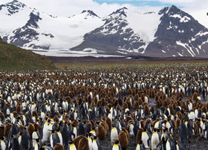 Antarctica: The Bottom of the World - BCBusiness