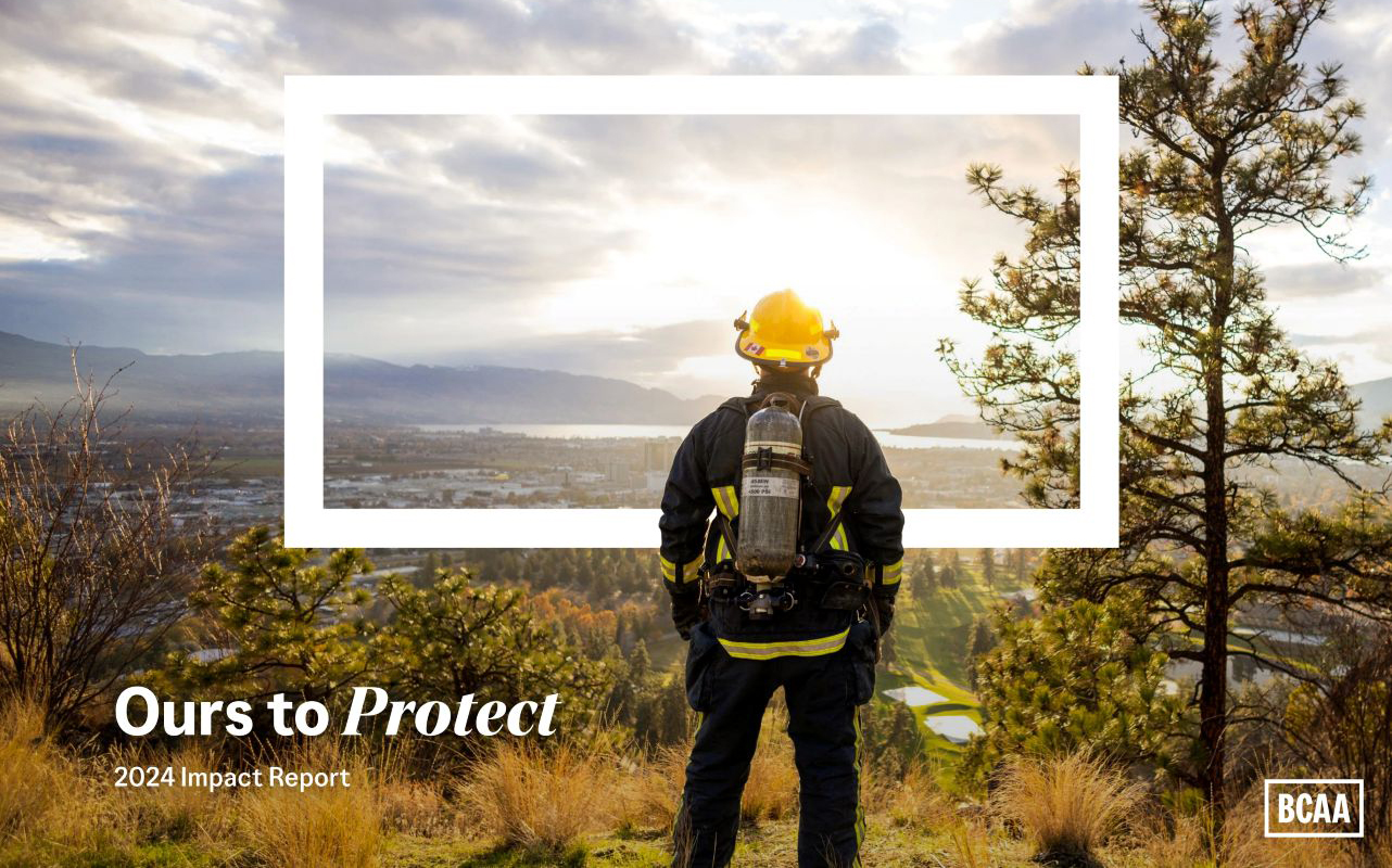 BCAA Reports on Programs and Actions to Defend Against Wildfires and ...