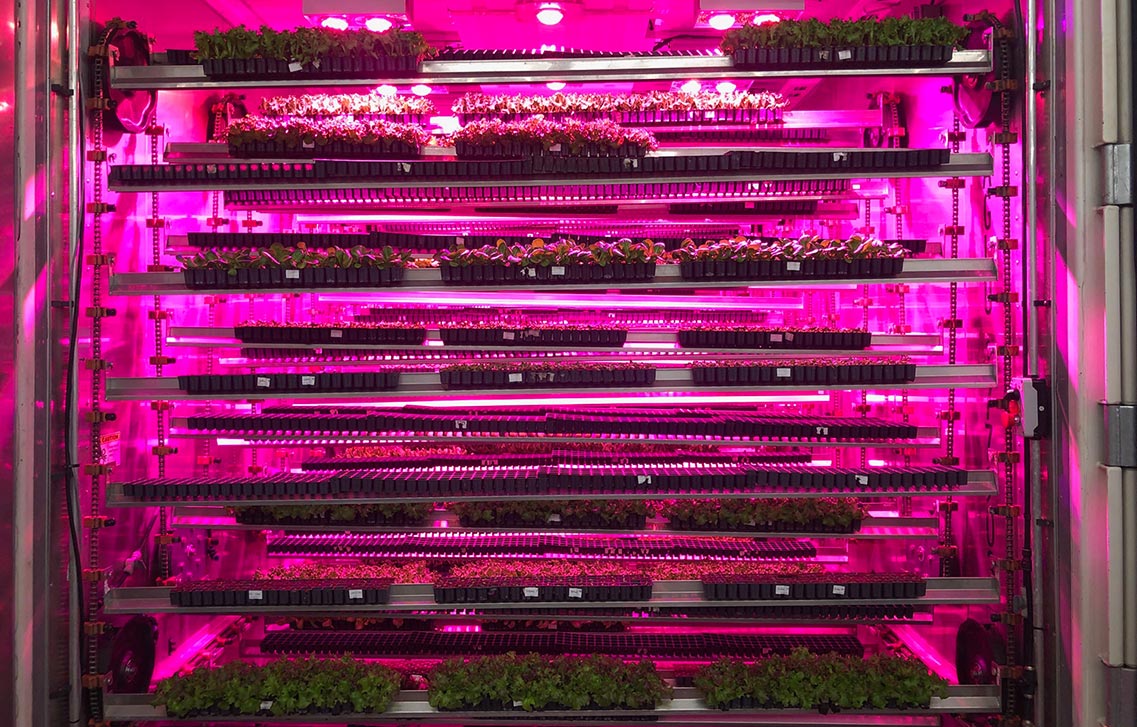 The next Uber or Tesla? Pitt Meadows' CubicFarms has a field of dreams ...