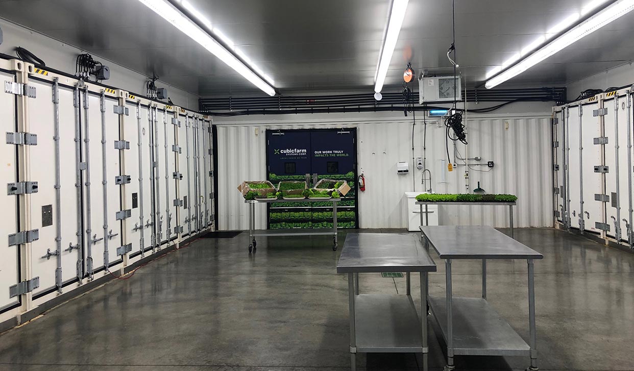 The next Uber or Tesla? Pitt Meadows' CubicFarms has a field of dreams ...