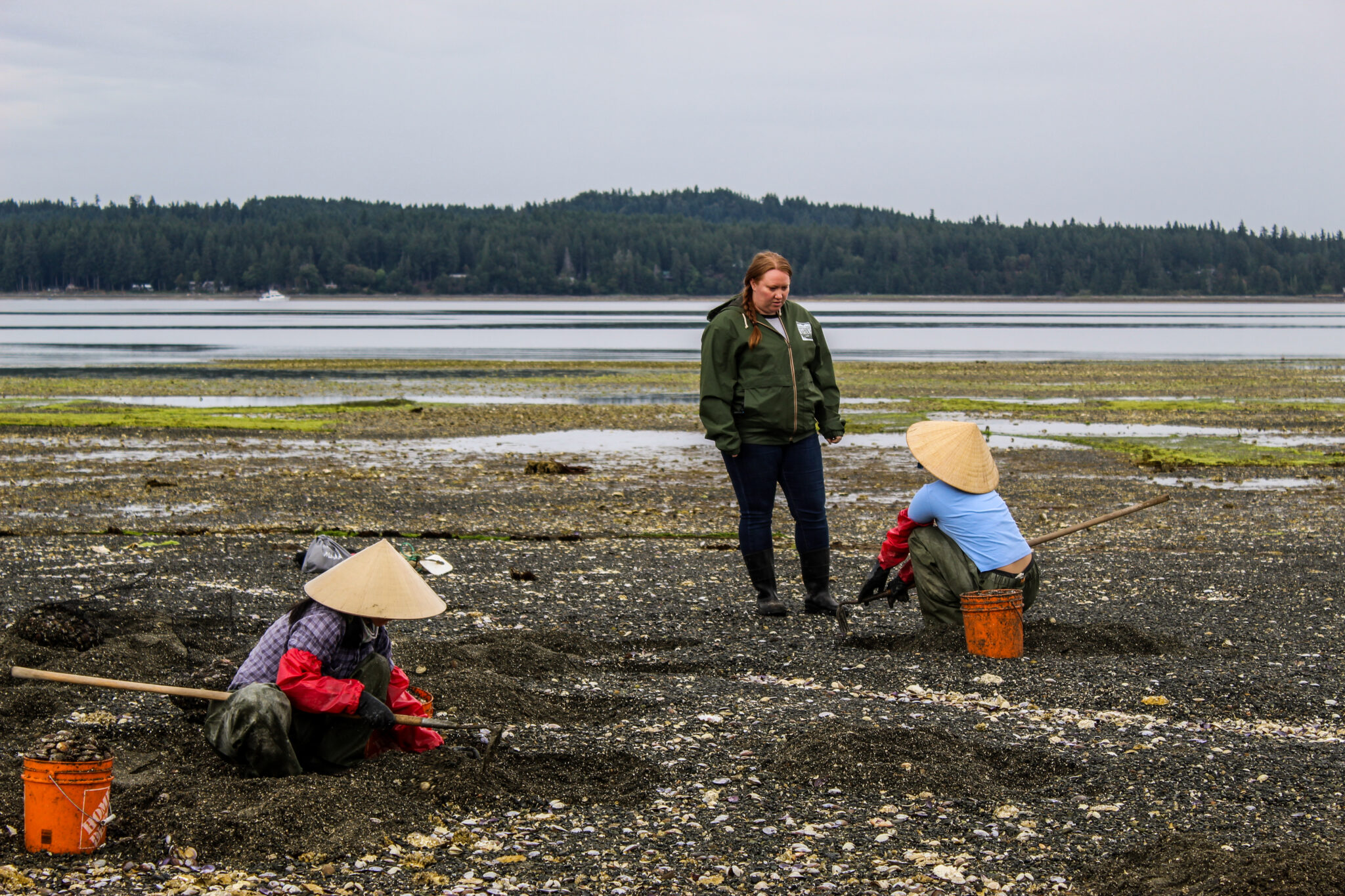 How Fanny Bay Oysters is Leading Sustainable Shellfish Farming in B.C.