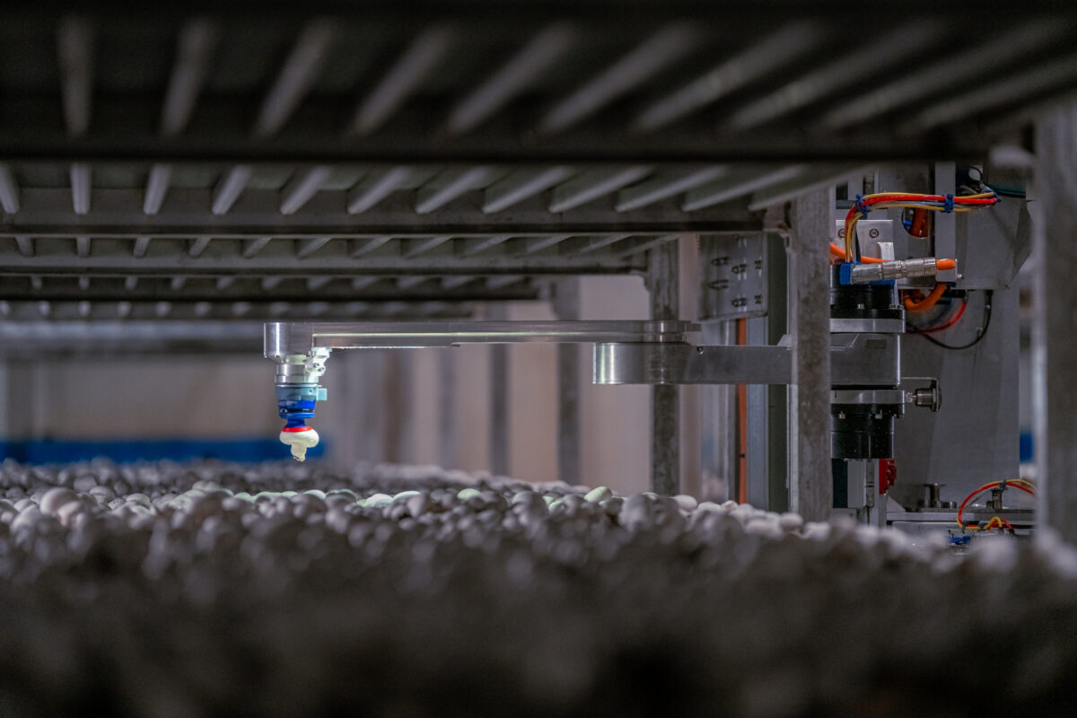 4AG Robotics Raises $40M to Expand Mushroom Harvesting Robots Globally
