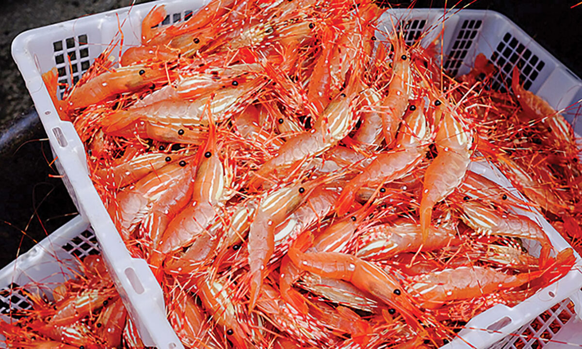 Culture Archives - BCBusiness