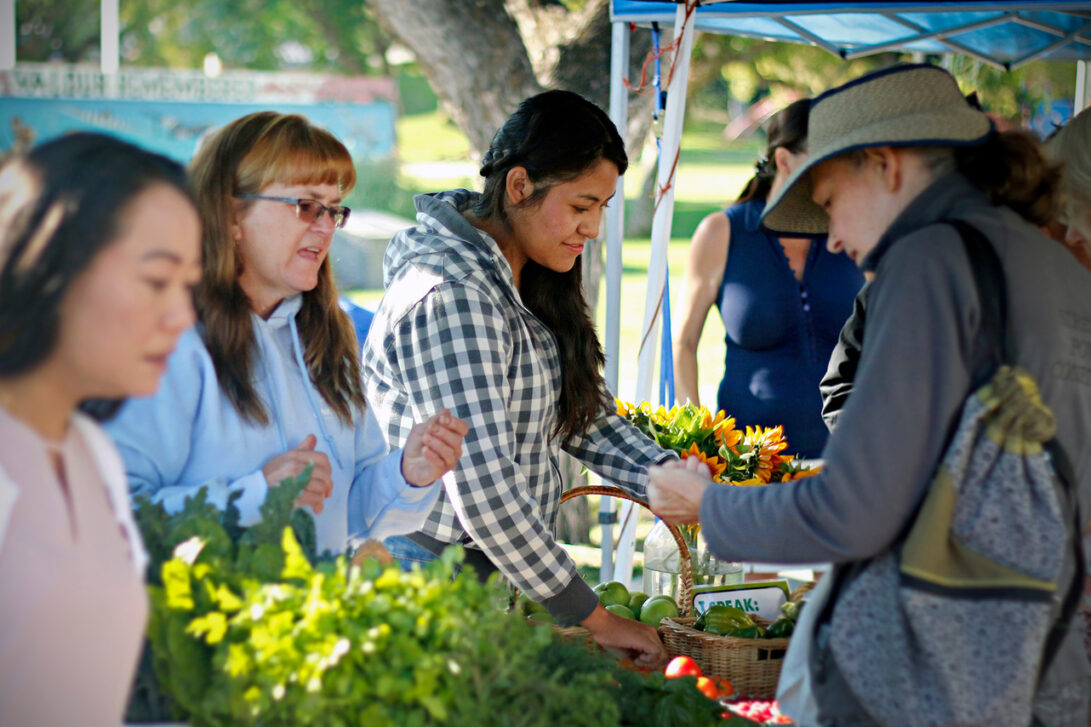 Small Business Lessons: The BC Association of Farmers' Markets has a ...