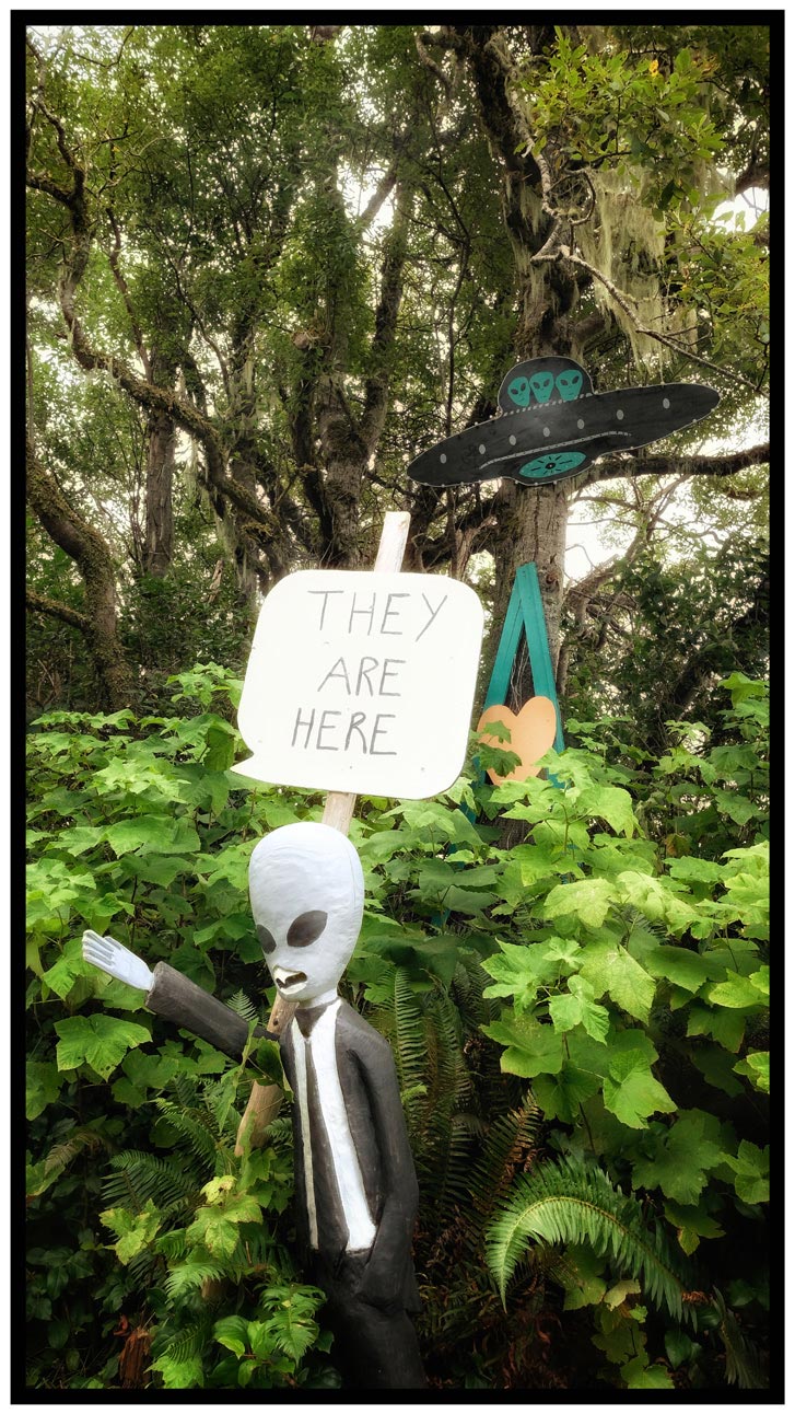 Local Summer Getaway: A Weekend in Sointula - BCBusiness